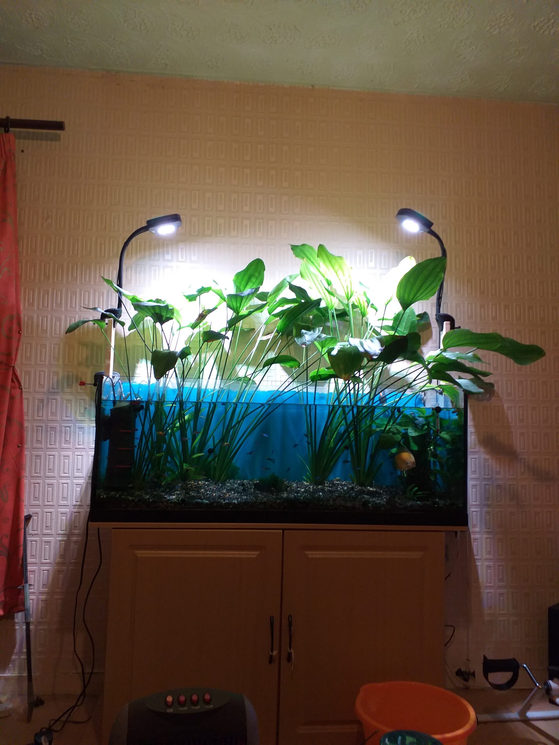 About Me - The Fish Keeping & Aquarium Guide.