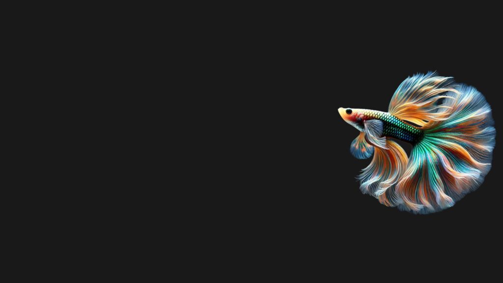 Guppy – The Fish Keeping & Aquarium Guide.